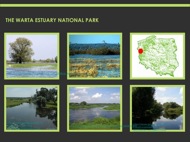 landscape-in-the-polish-national-parks-planning-management-and-protection