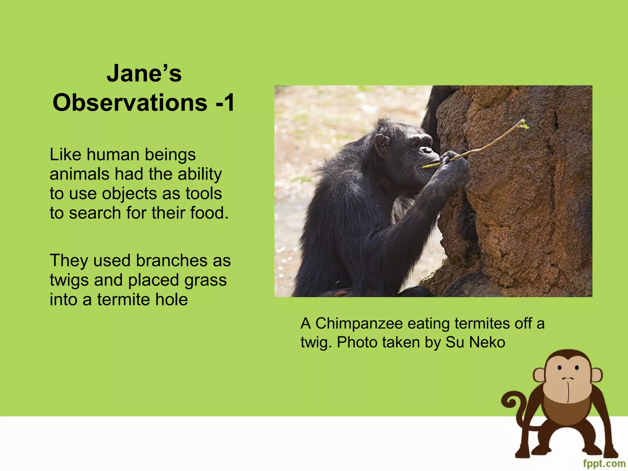 Jane Goodall | PPT