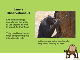 Jane Goodall | PPT