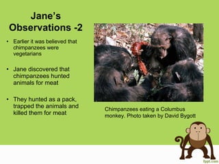 Jane Goodall | PPT