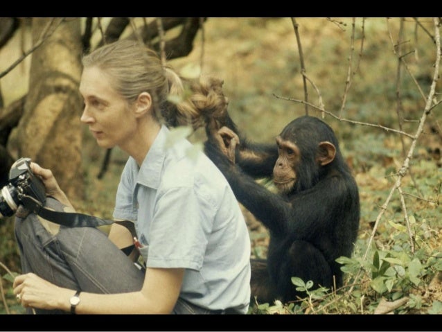 Hugo Eric Louis Van Lawick Wife Maria | SEMA Data Co-op