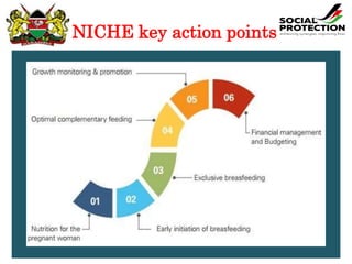Evidence-Informed Scale Up of NICHE in Kenya | PPTX