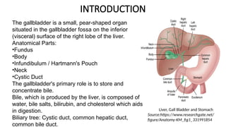 SONOGRAPHIC EVALUATION OF NORMAL GALLBLADDER AND CHOLECYSTITIS | PPTX