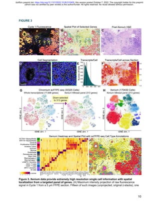 Janesick-2022-High-resolution-mapping-of-the-brea.pdf
