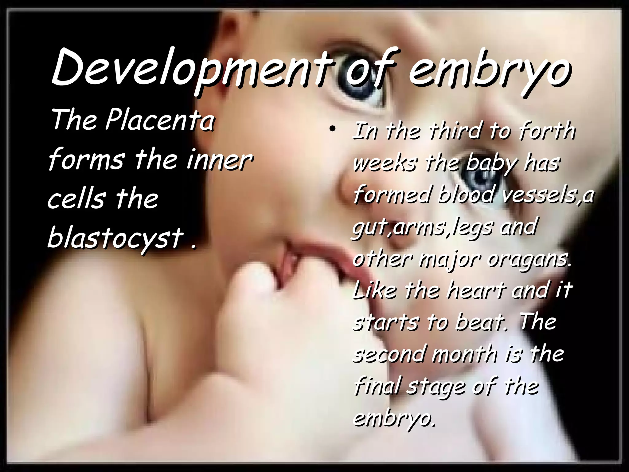 Fetal Development | PPT | Free Download