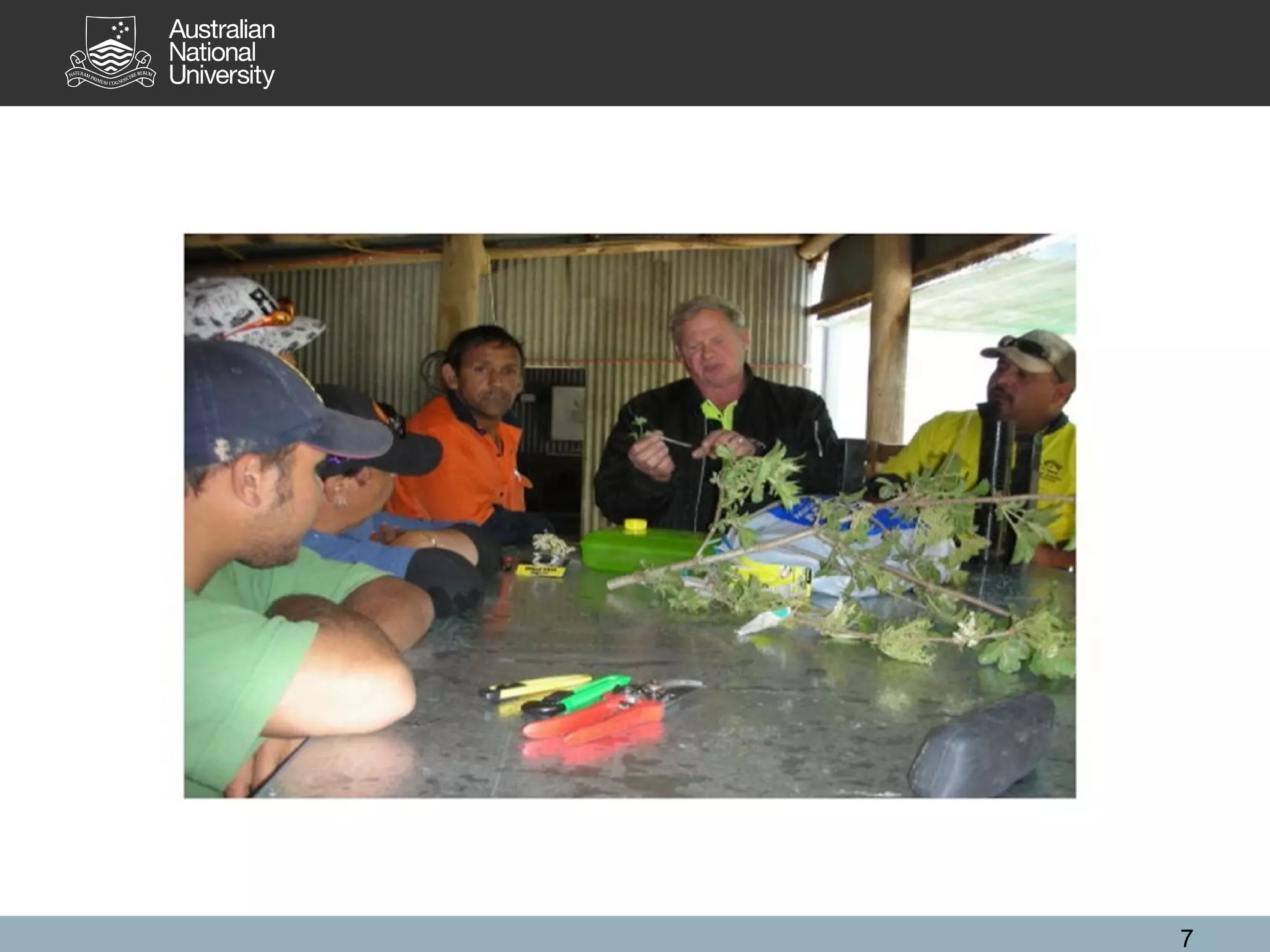 Janet Hunt Indigenous Futures on Country in Rural NSW | PPT