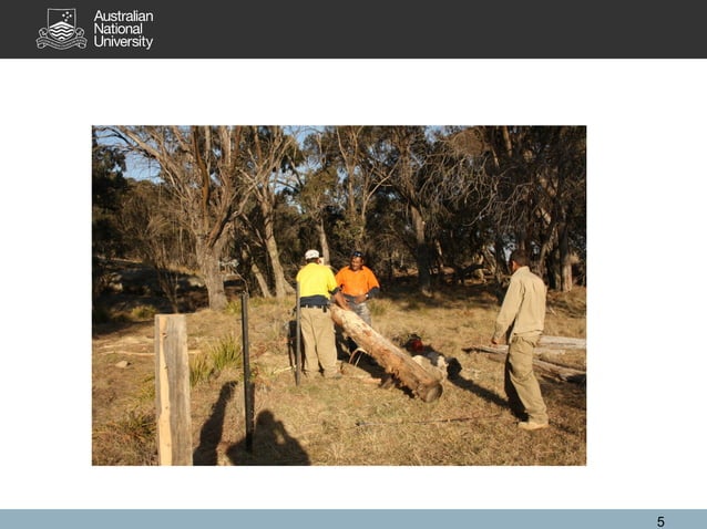Janet Hunt Indigenous Futures on Country in Rural NSW | PPT | Australia ...