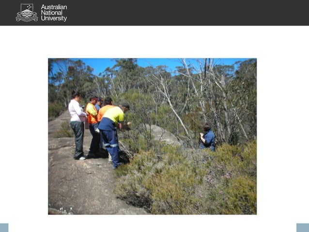 Janet Hunt Indigenous Futures on Country in Rural NSW | PPT | Australia ...
