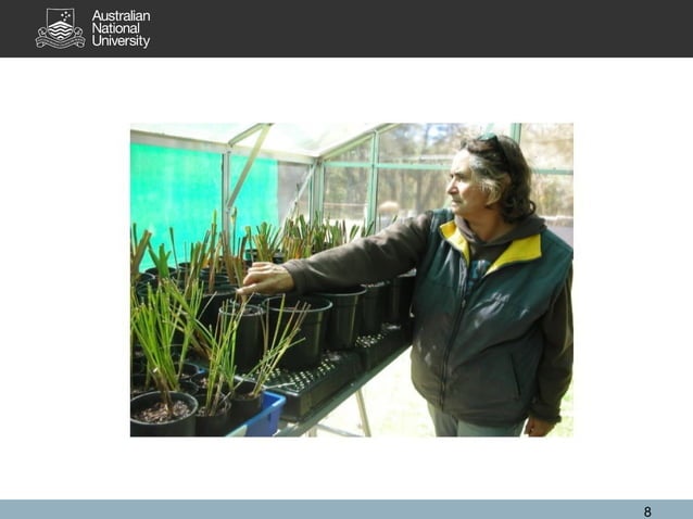 Janet Hunt Indigenous Futures on Country in Rural NSW | PPT | Australia ...