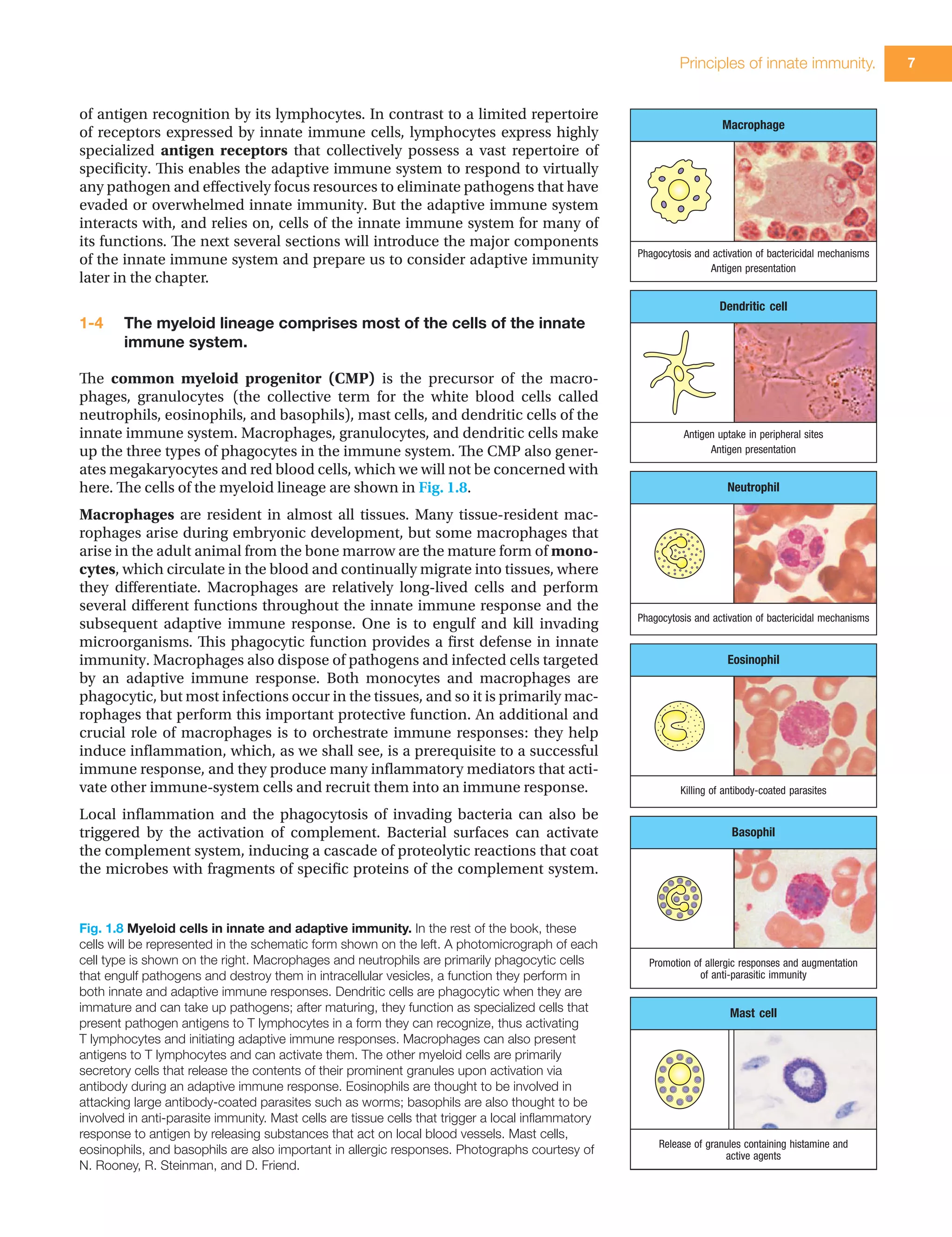 Janeway immunology 9th ( PDFDrive ).pdf