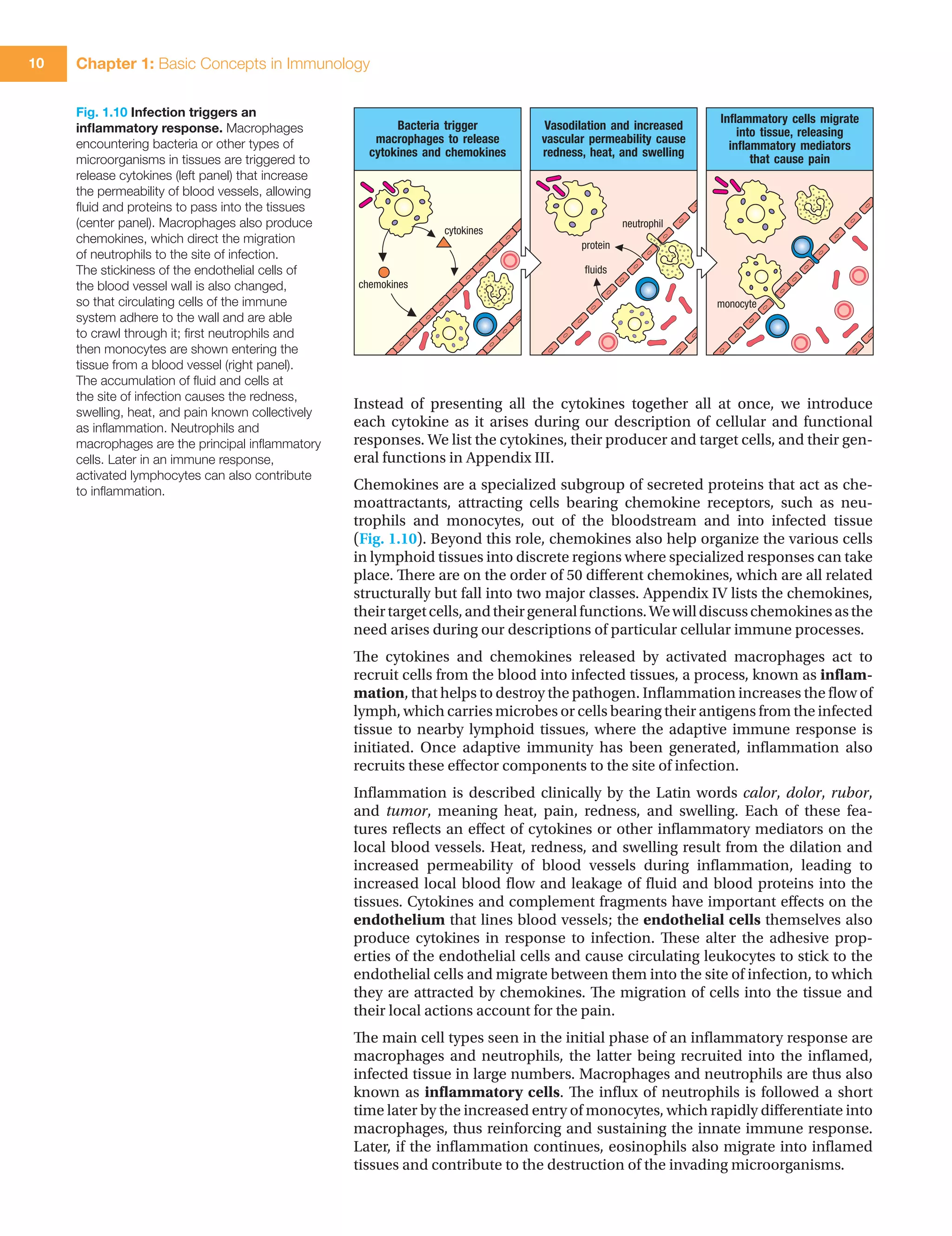 Janeway immunology 9th ( PDFDrive ).pdf