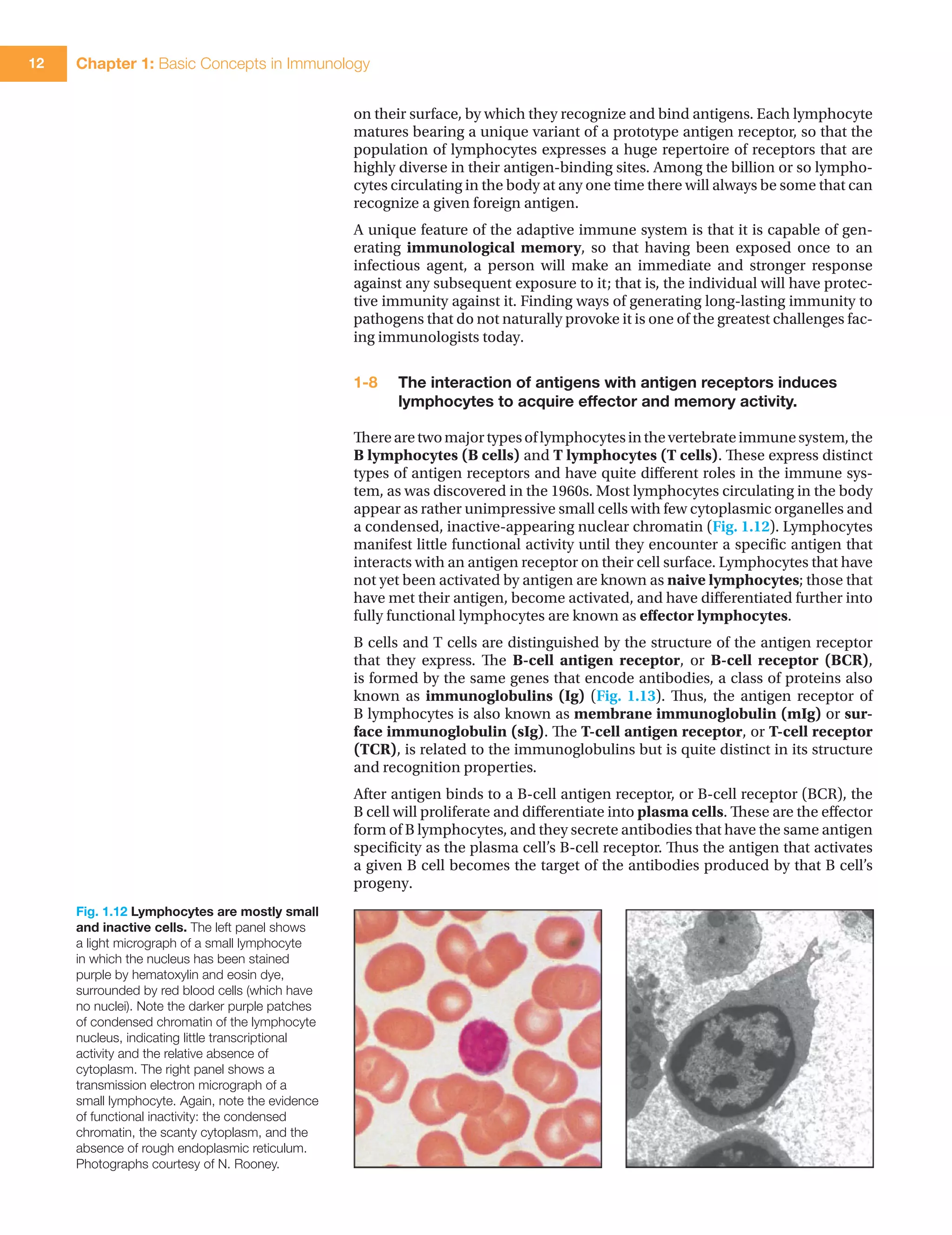 Janeway immunology 9th ( PDFDrive ).pdf