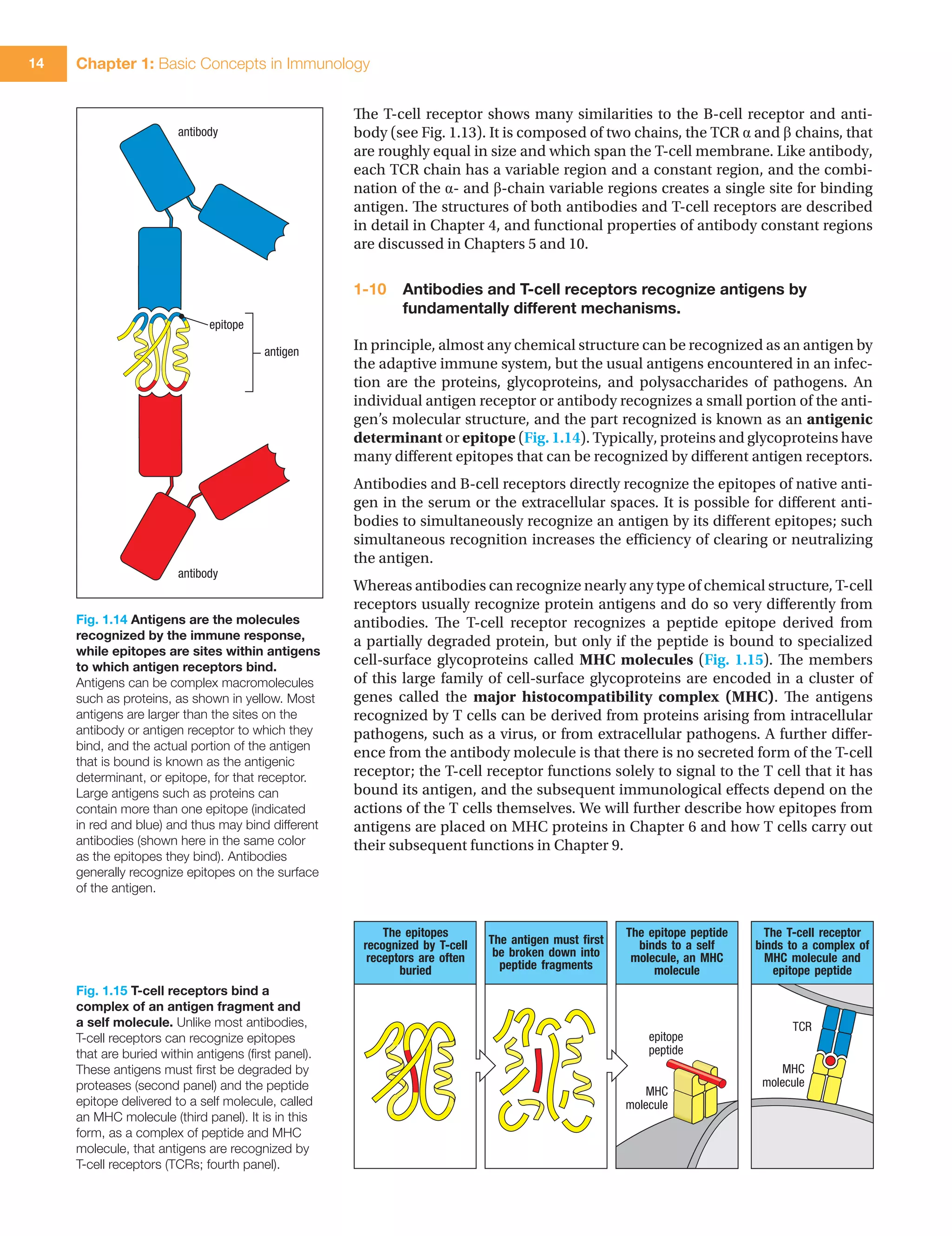 Janeway immunology 9th ( PDFDrive ).pdf