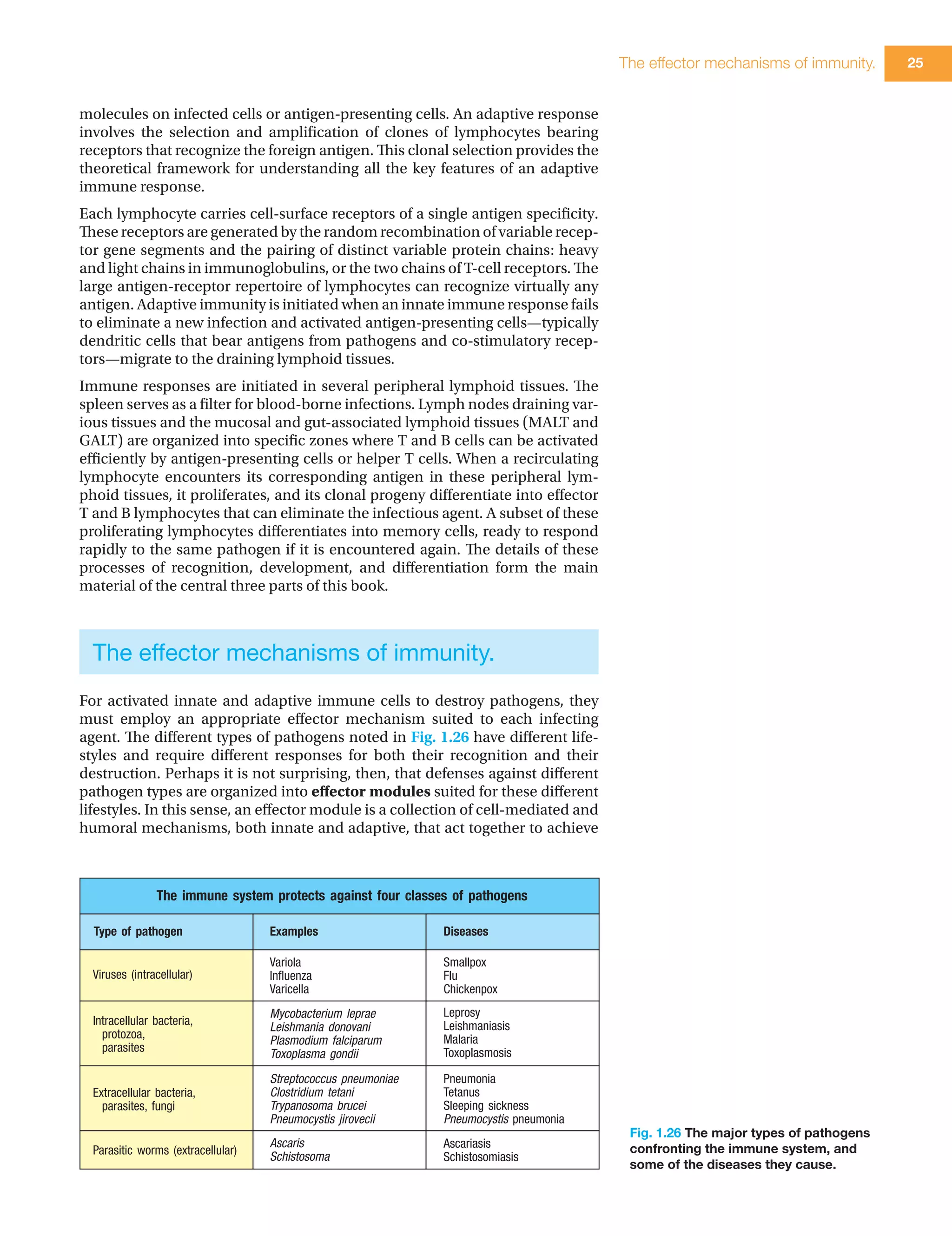 Janeway immunology 9th ( PDFDrive ).pdf