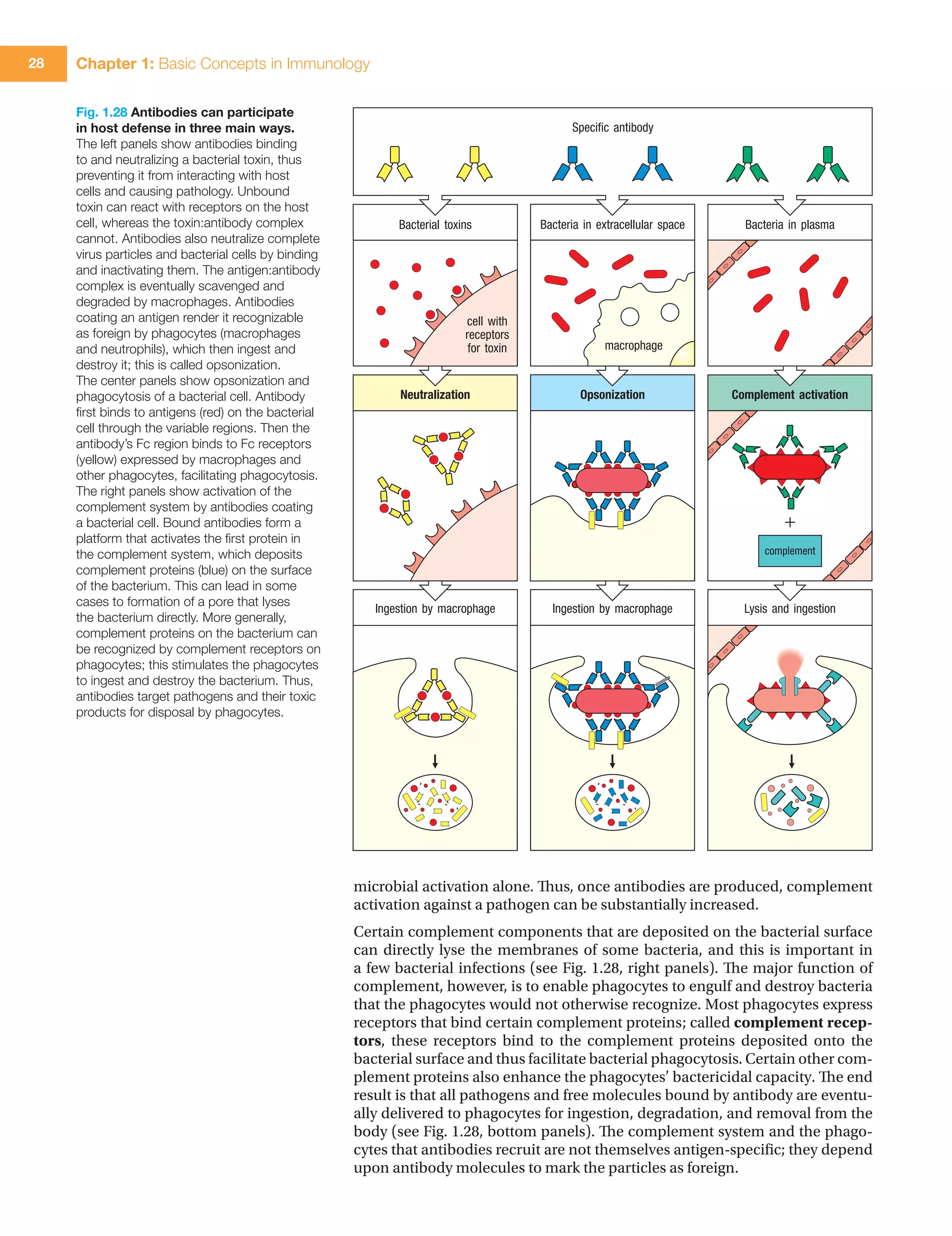 Janeway immunology 9th ( PDFDrive ).pdf