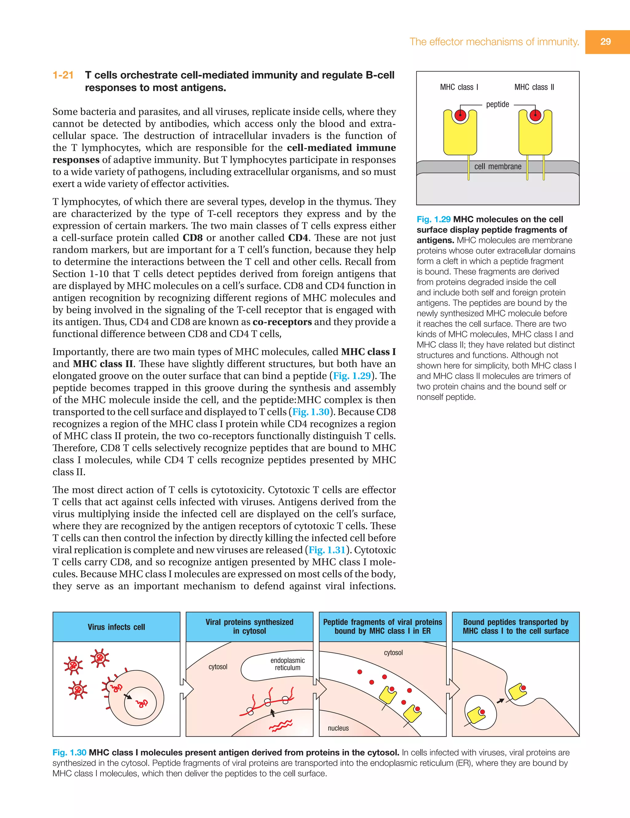 Janeway immunology 9th ( PDFDrive ).pdf