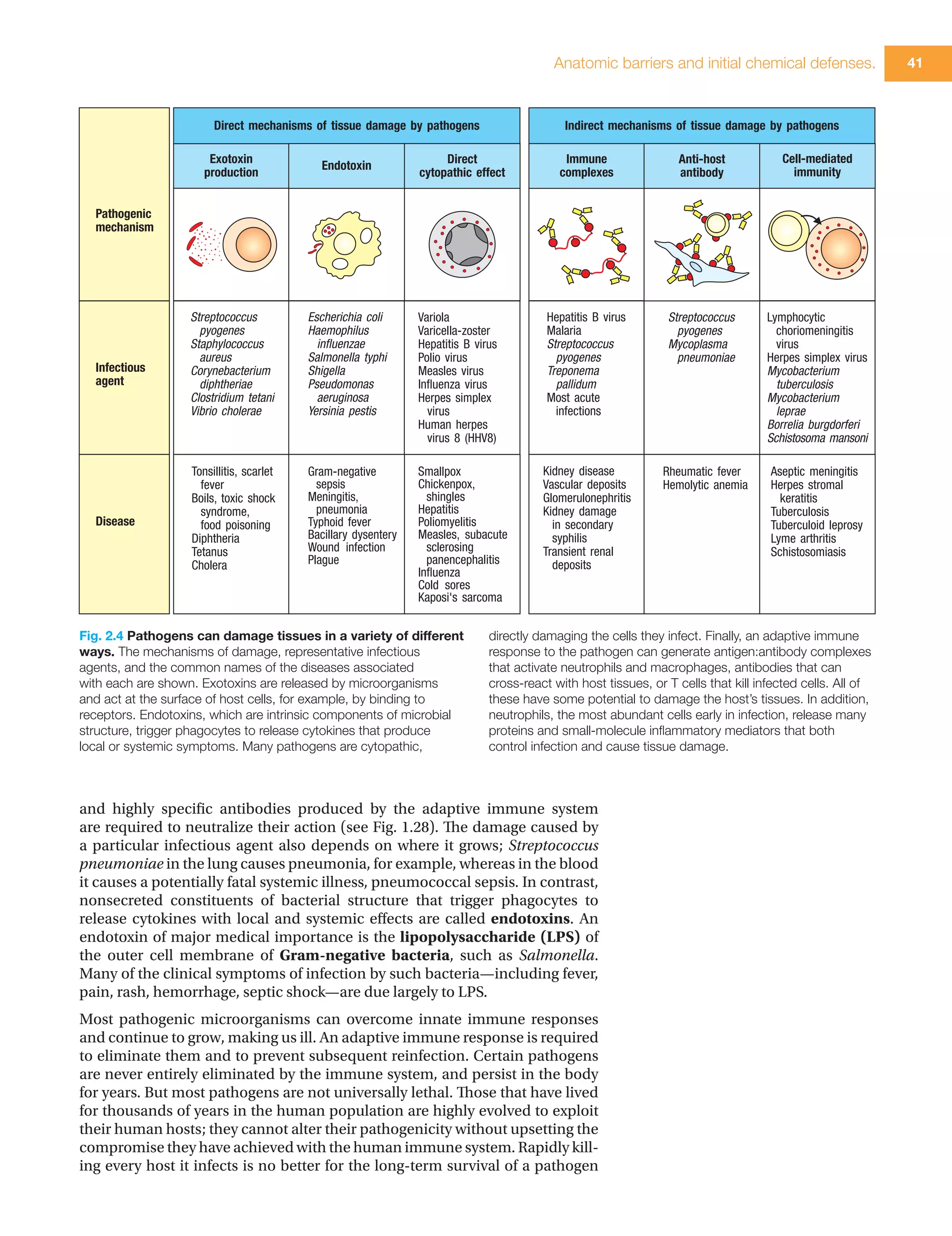 Janeway immunology 9th ( PDFDrive ).pdf