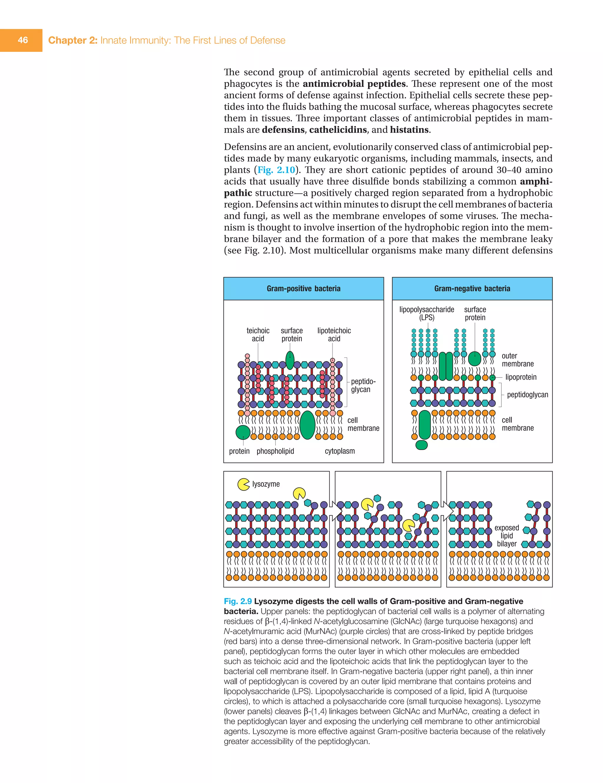 Janeway immunology 9th ( PDFDrive ).pdf