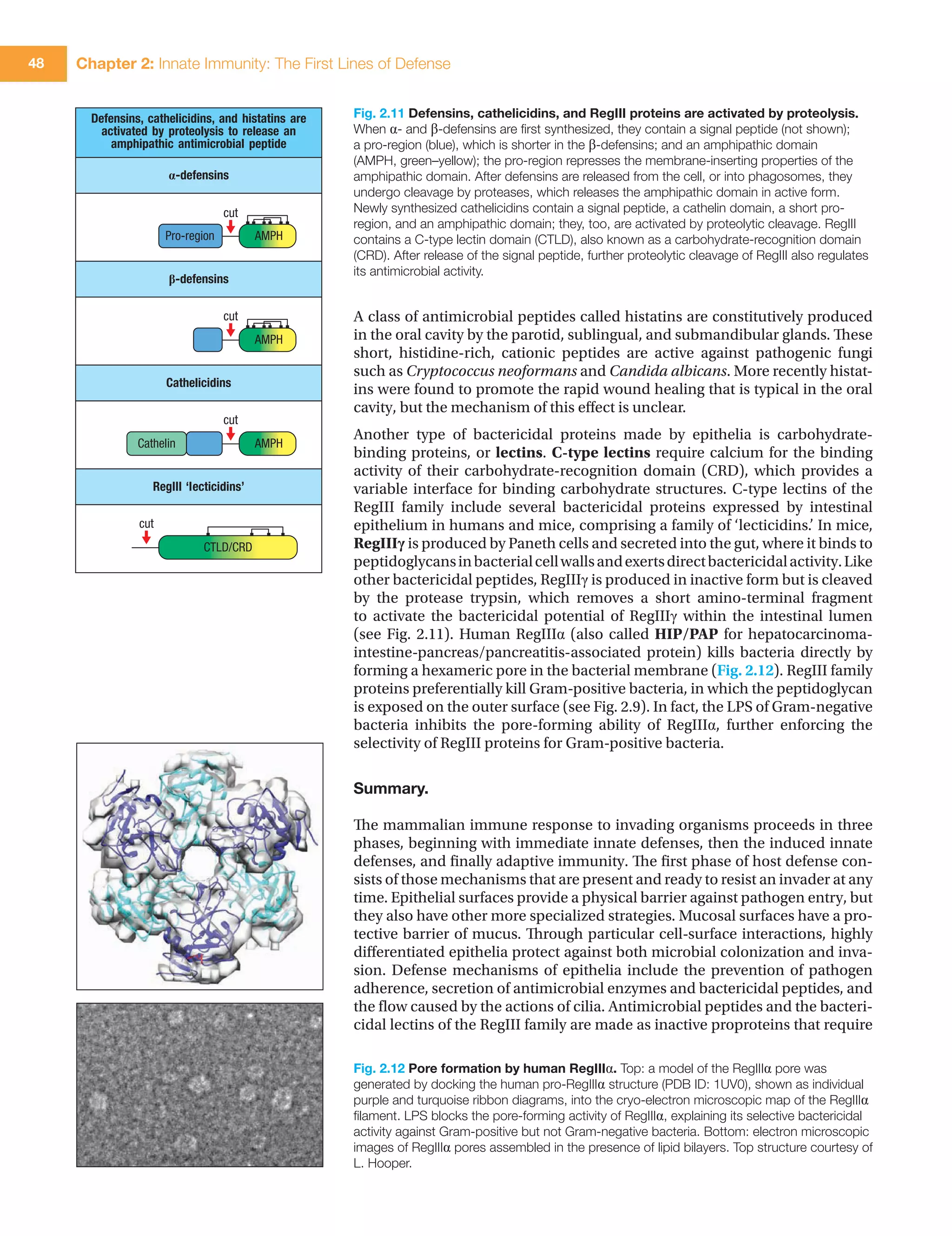 Janeway immunology 9th ( PDFDrive ).pdf