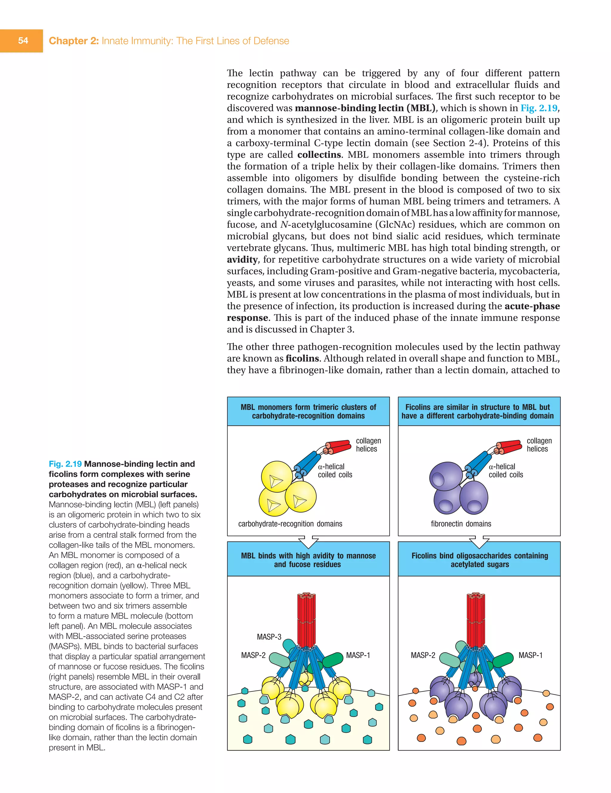 Janeway immunology 9th ( PDFDrive ).pdf