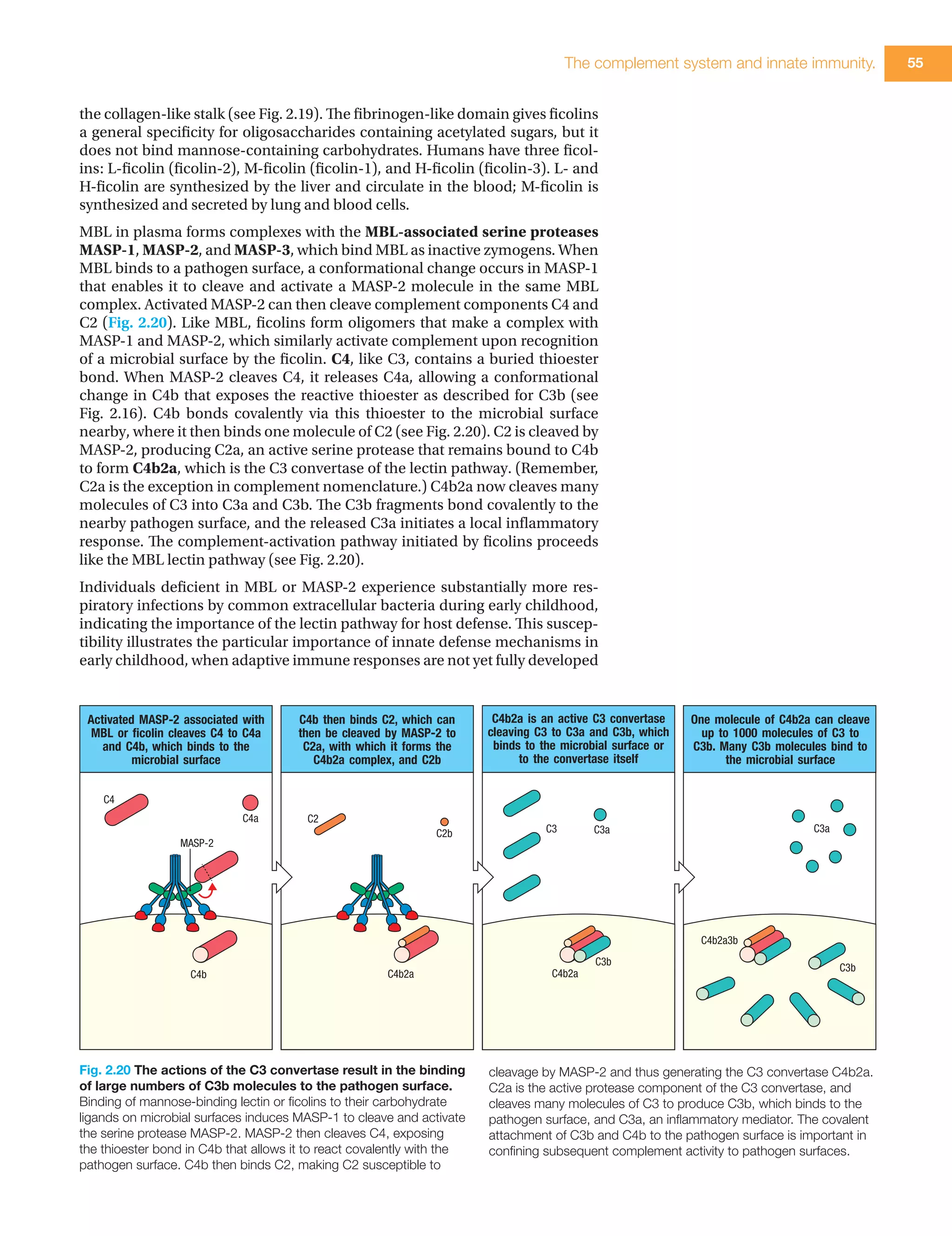 Janeway immunology 9th ( PDFDrive ).pdf