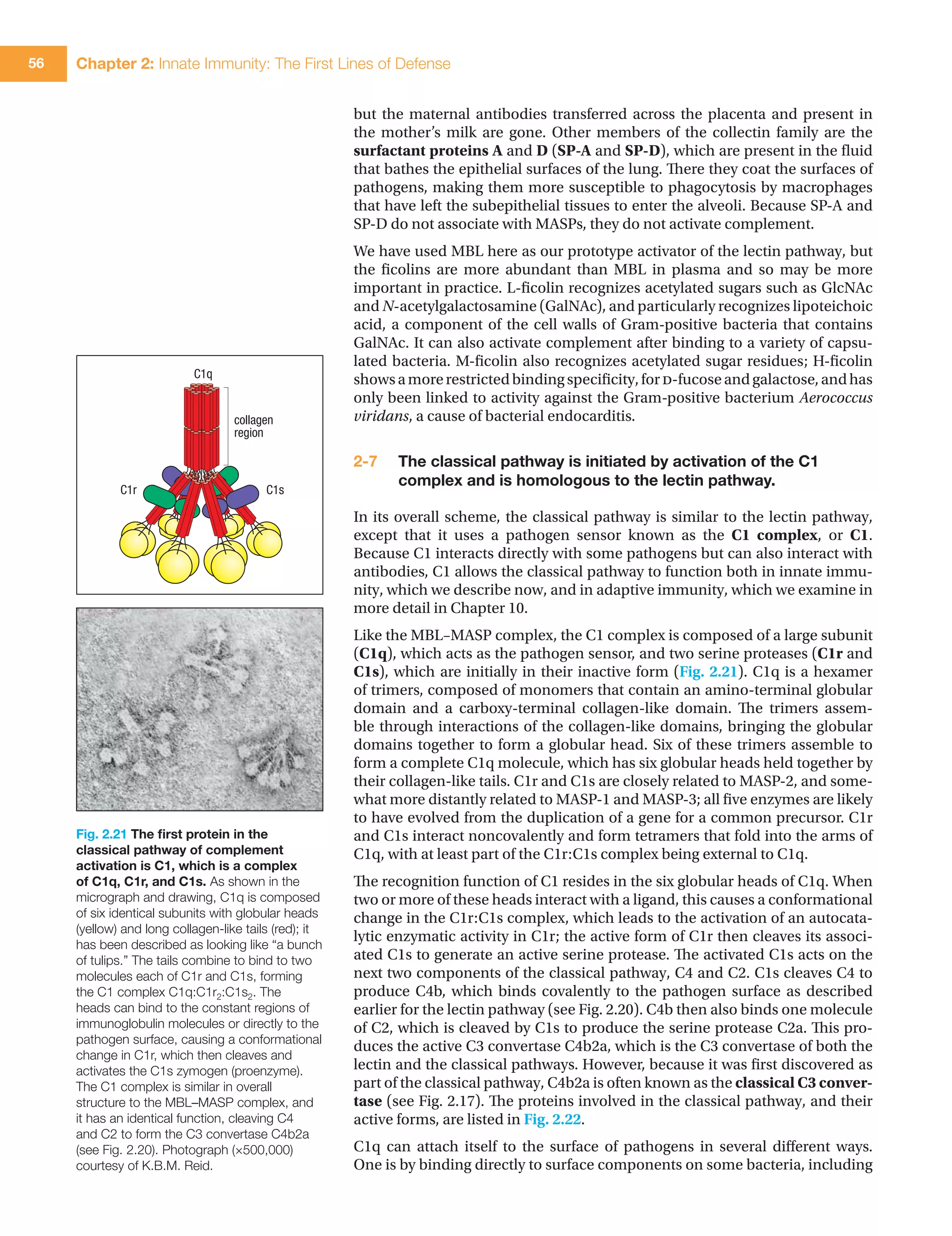 Janeway immunology 9th ( PDFDrive ).pdf