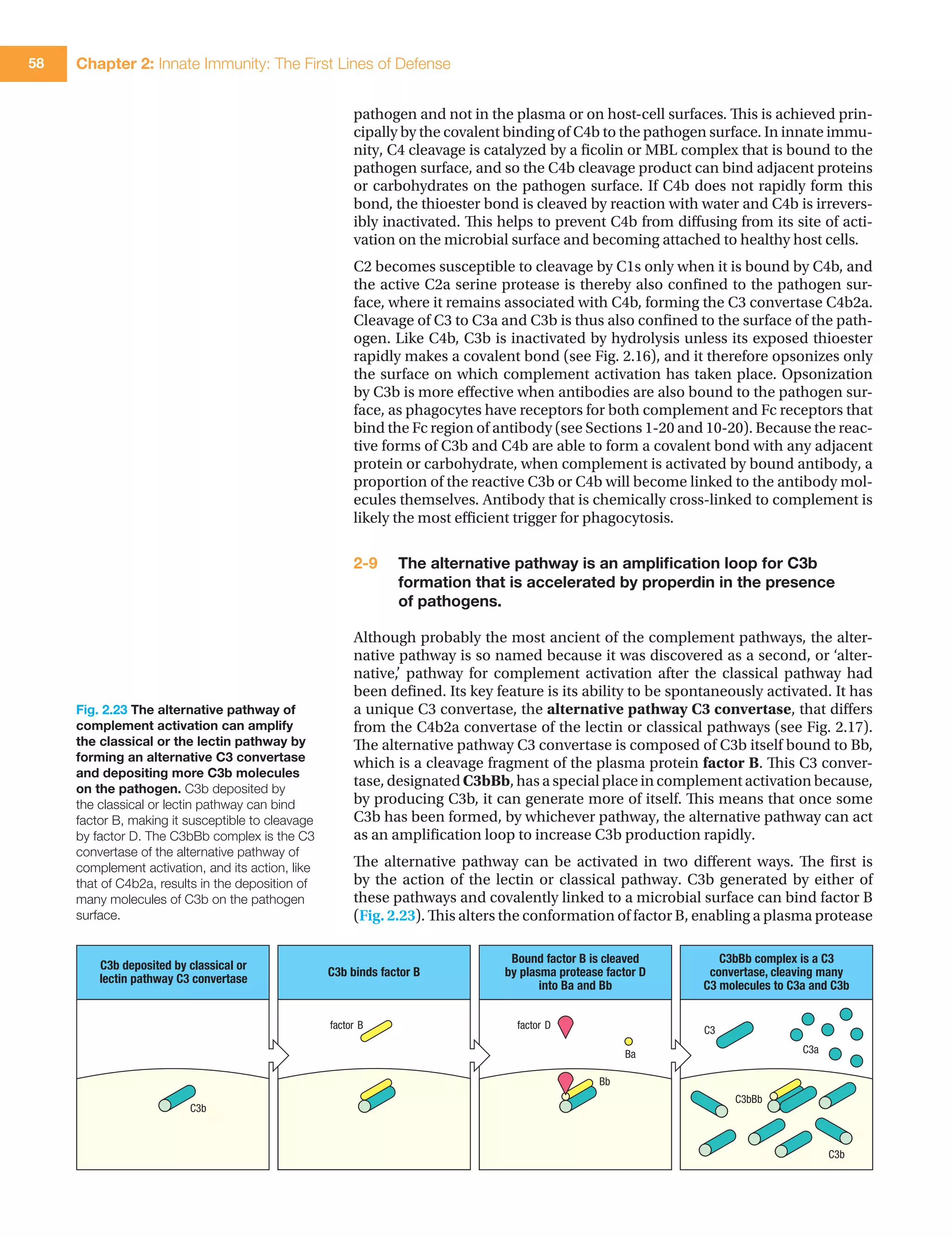 Janeway immunology 9th ( PDFDrive ).pdf