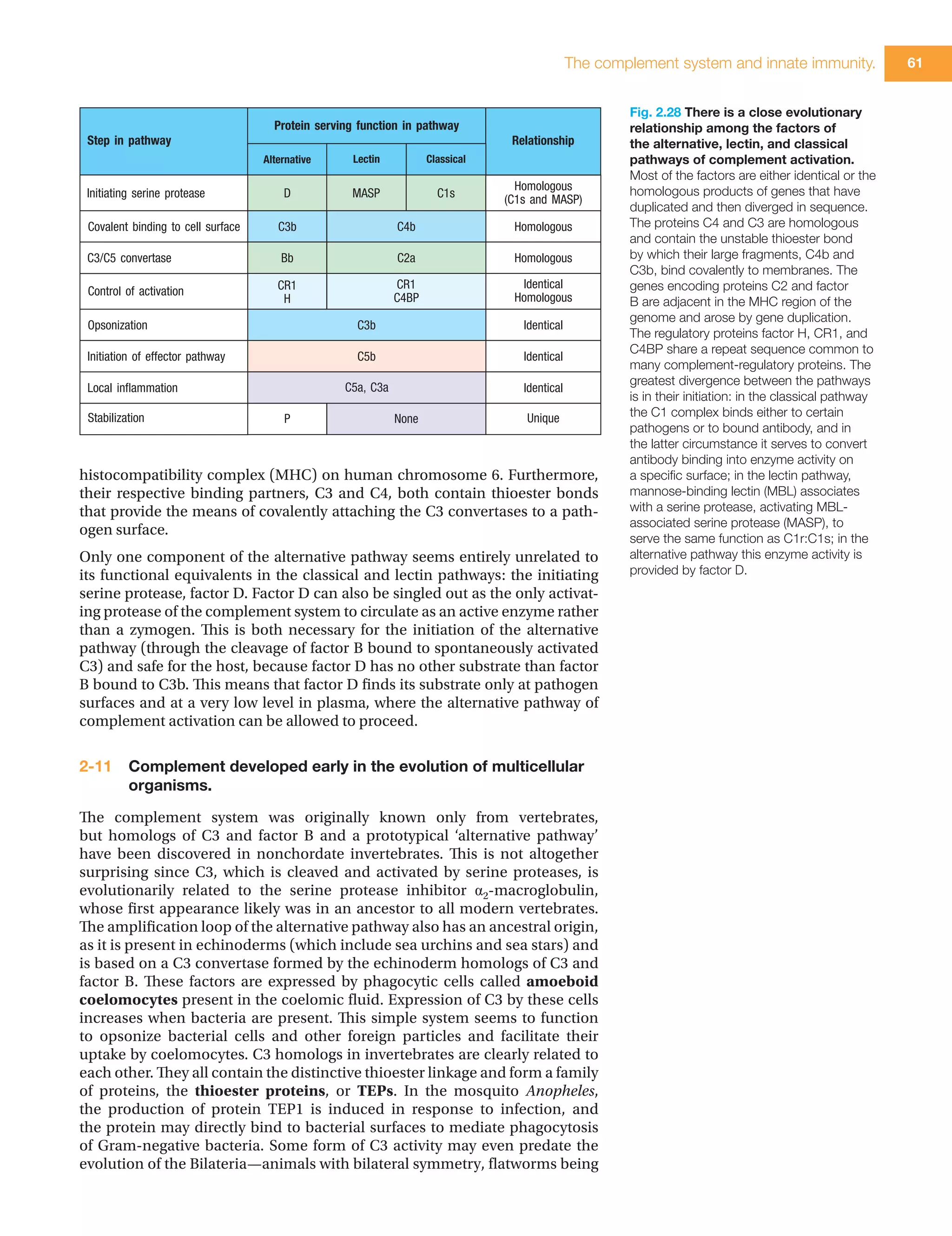 Janeway immunology 9th ( PDFDrive ).pdf