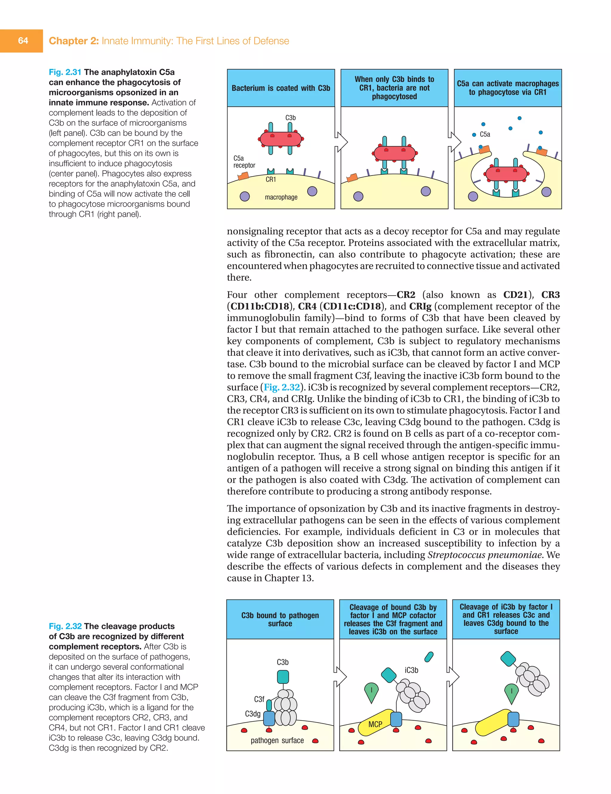Janeway immunology 9th ( PDFDrive ).pdf