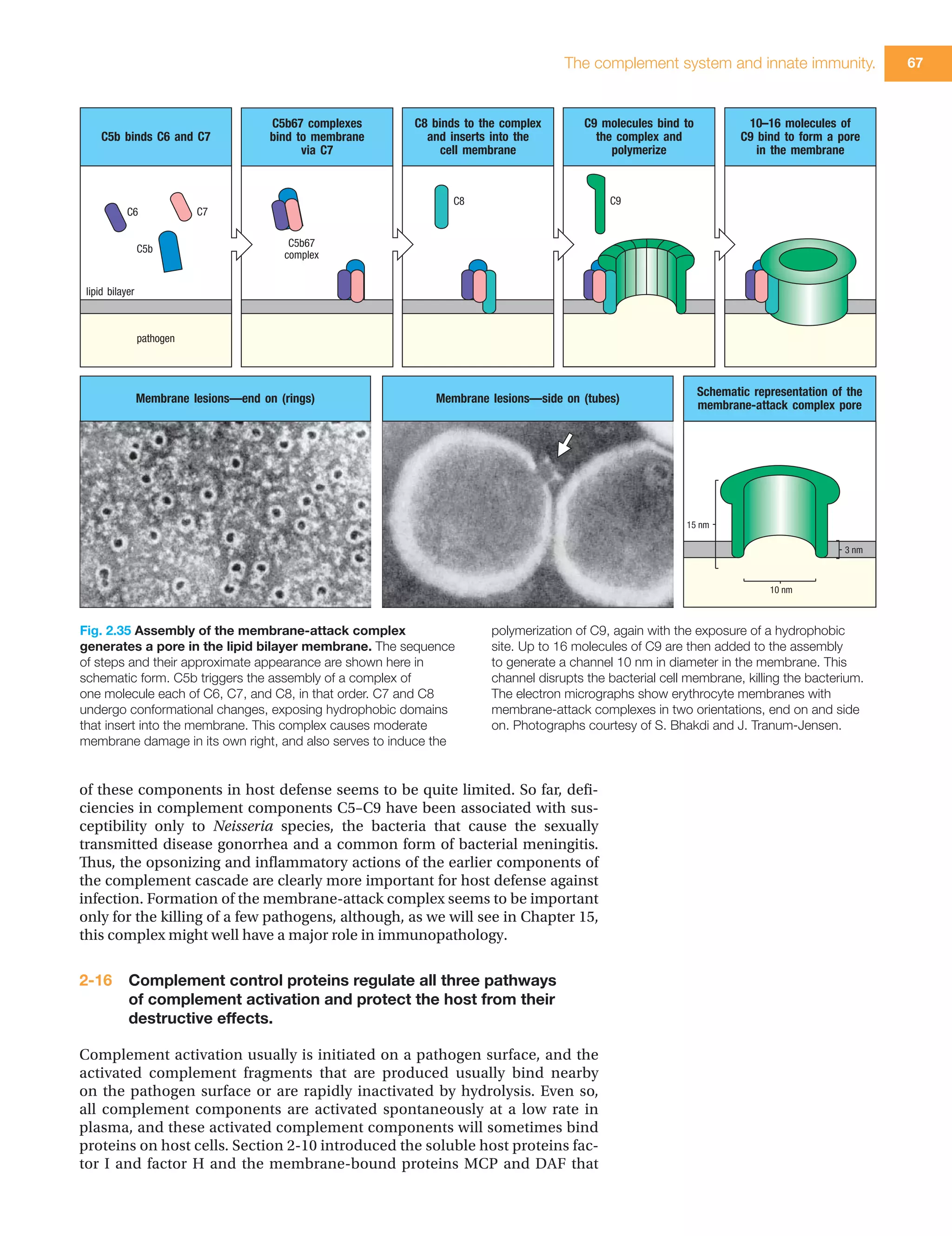 Janeway immunology 9th ( PDFDrive ).pdf