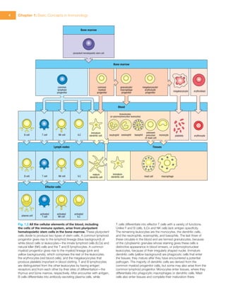 Janeway immunology 9th ( PDFDrive ).pdf