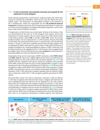 Janeway immunology 9th ( PDFDrive ).pdf