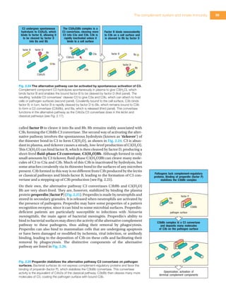 Janeway immunology 9th ( PDFDrive ).pdf