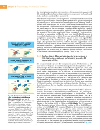 Janeway immunology 9th ( PDFDrive ).pdf