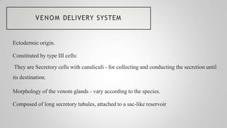 JANGAMA VISHA .pptx- | PPTX