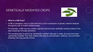 Detection of gm crops | PPTX