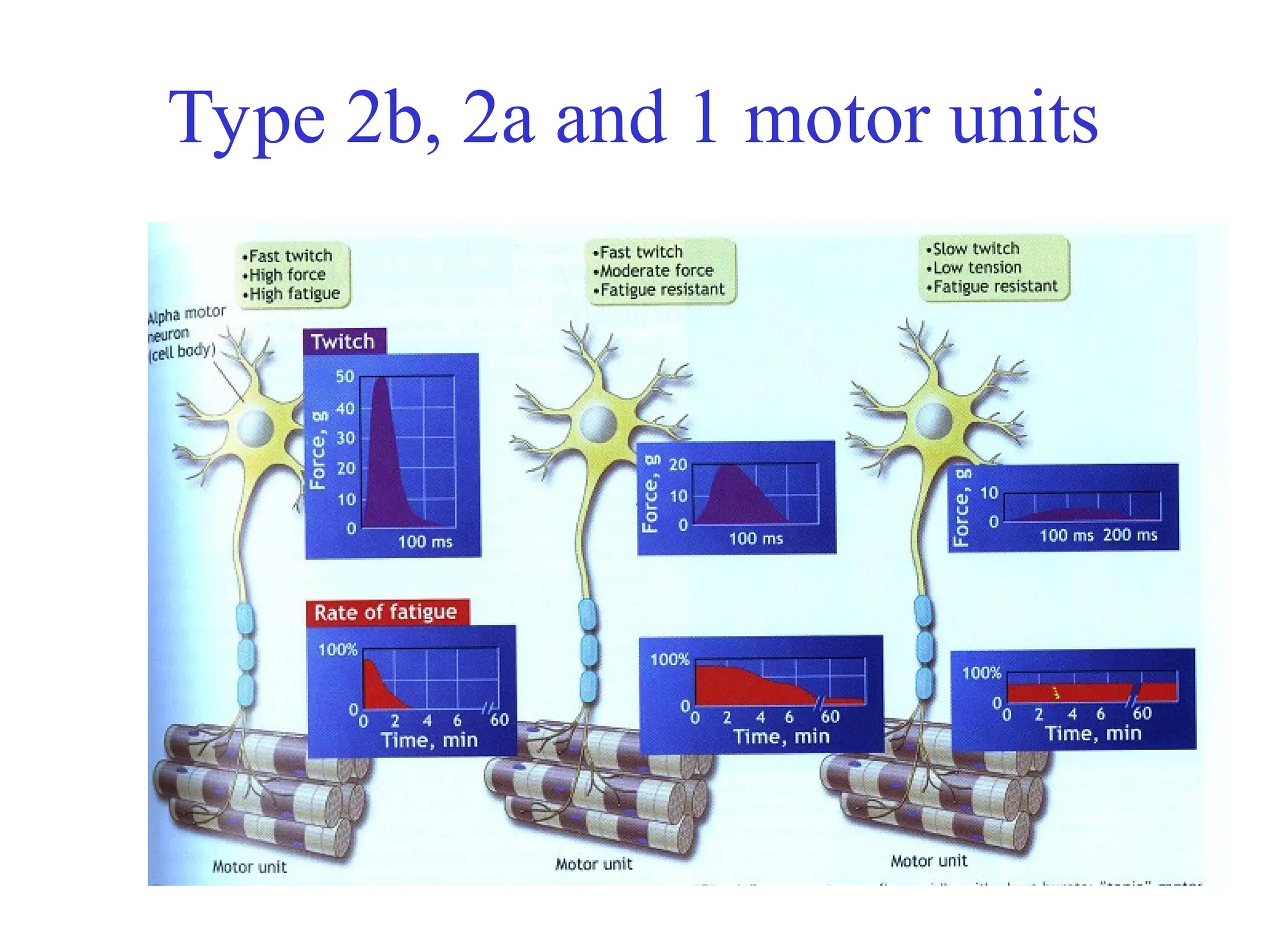 Jan Hoff 2008 UKSCA Norwegian 4x4 Protocol | PPT