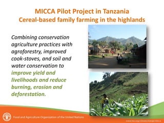 MICCA Pilot Projects: Identifying climate-smart agriculture practices ...