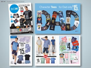 Janine work overview 2016 HD | PDF