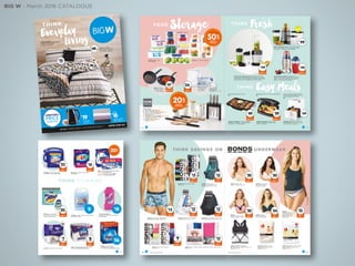 Janine work overview 2016 HD | PDF