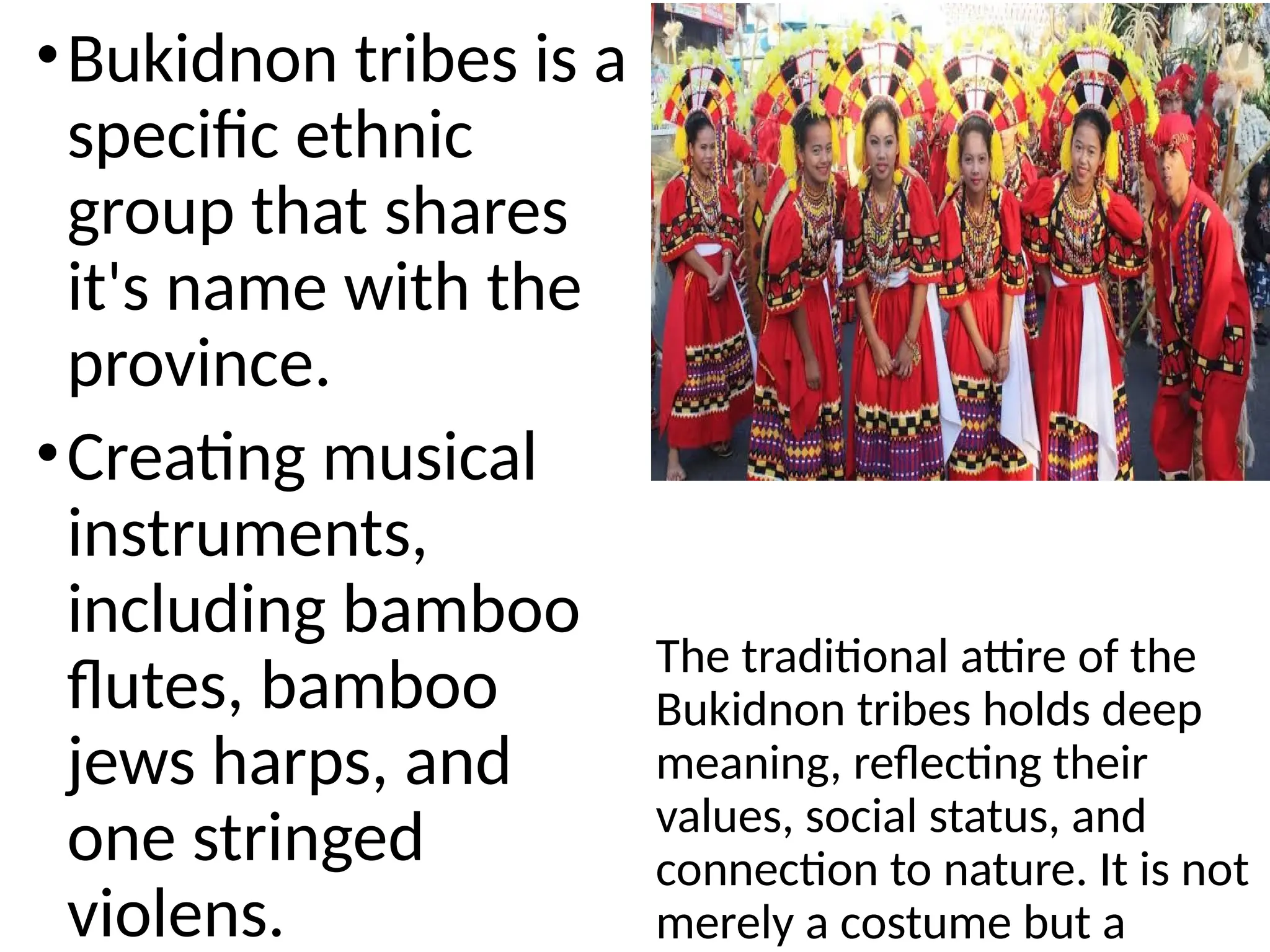 BUKIDNON TRIBE REPORT - a summarize report for the Bukidnon tribe | PPTX