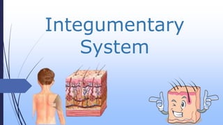 Janiola,structure-skincolor.pptx
