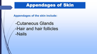 Janiola,structure-skincolor.pptx