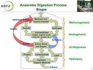 Scientific and Technical Principles of Anaerobic Digestion Technology | PDF