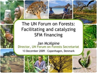 The UN Forum on Forests: Facilitating and catalyzing SFM financing | PDF