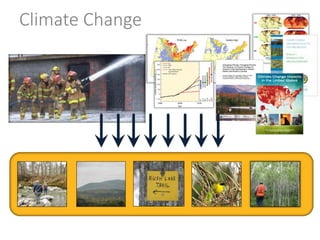 Putting a “Climate Change Filter” on Forest Stewardship and ...