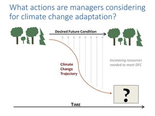 Forests and Climate Change: New Approaches for Adaptation and Carbon ...