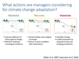 Forests and Climate Change: New Approaches for Adaptation and Carbon ...