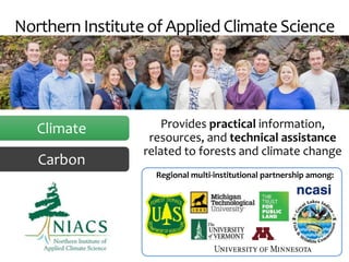 Forests and Climate Change: New Approaches for Adaptation and Carbon ...