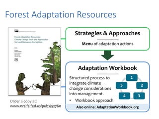 Forests and Climate Change: New Approaches for Adaptation and Carbon ...